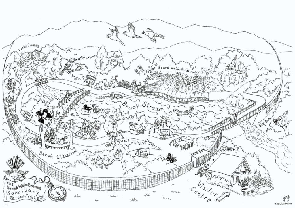Colouring-in resources - Brook Waimārama Sanctuary | Returning Nature ...