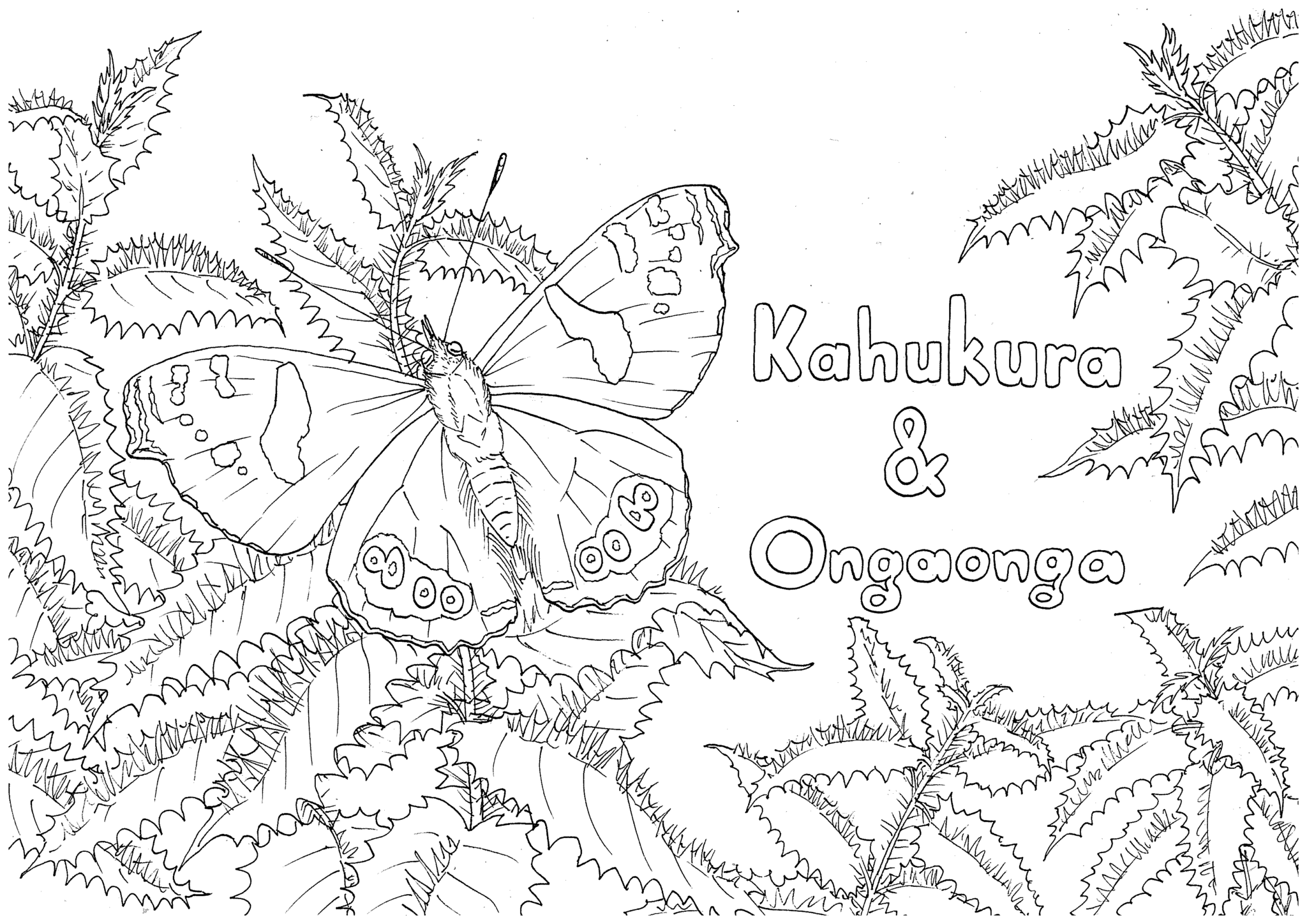 Colouring-in resources - Brook Waimārama Sanctuary | Returning Nature ...