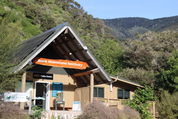 Brook Waimārama Sanctuary Complete Guide