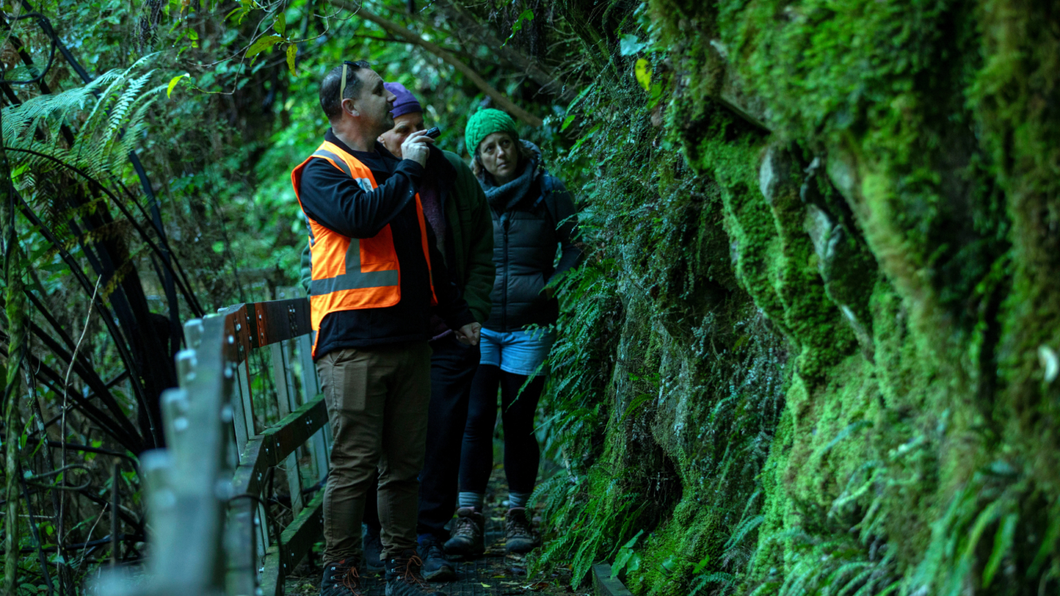Brook Waimārama Sanctuary Complete Guide